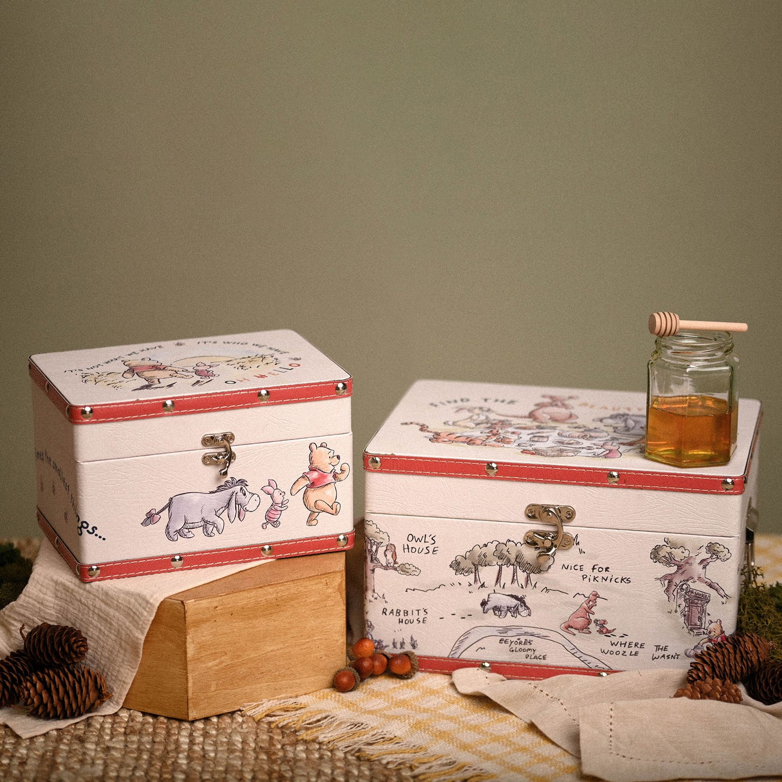 Disney Winnie the Pooh Set of Two Luggage-Style Storage Boxes