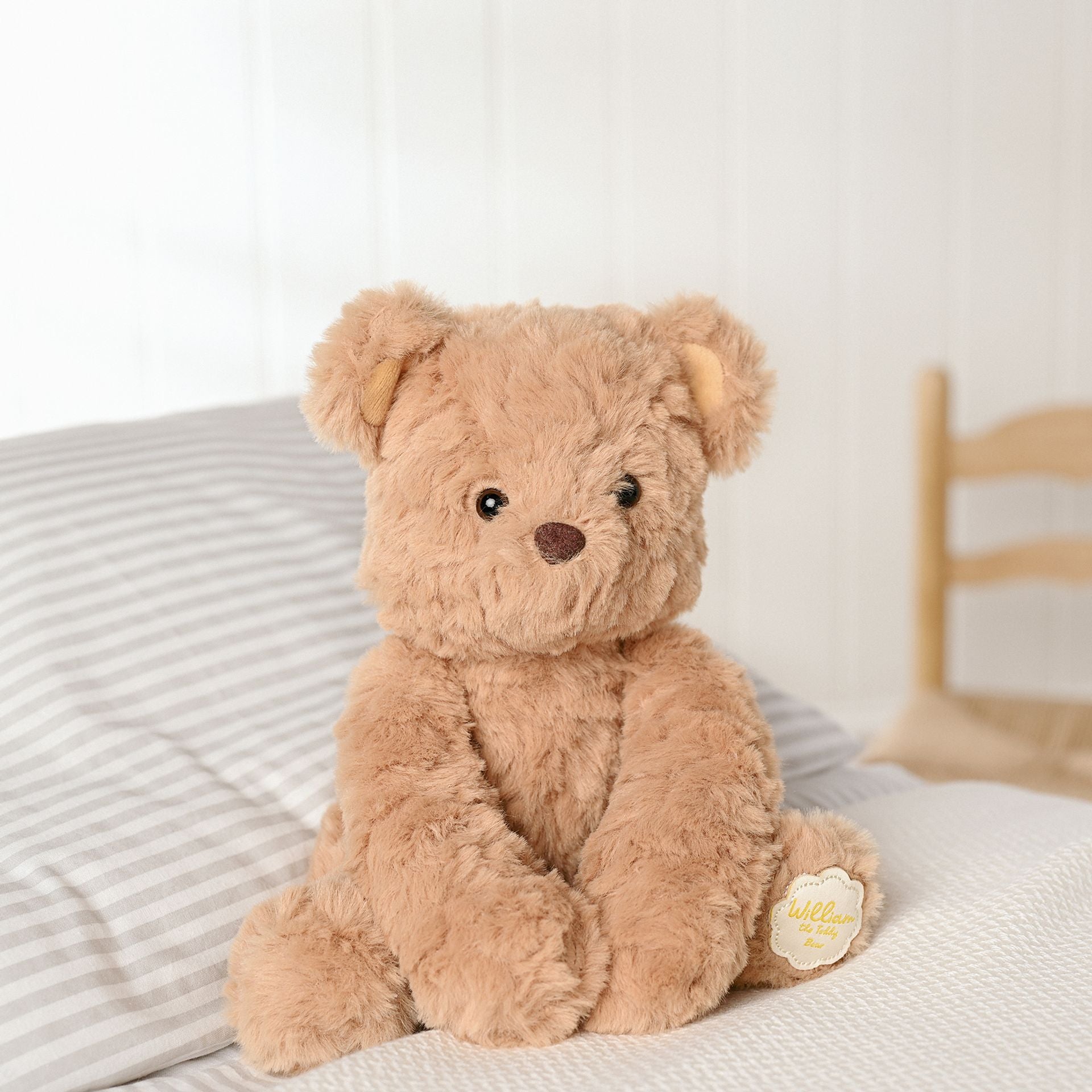 William The Sitting Teddy Bear Softie - Brown Plush Toy in Optional Ho